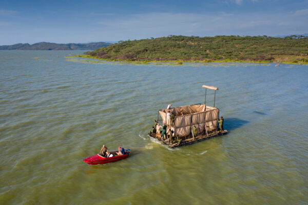 Saving Giraffes Movie on Disney+ | Save Giraffes Now